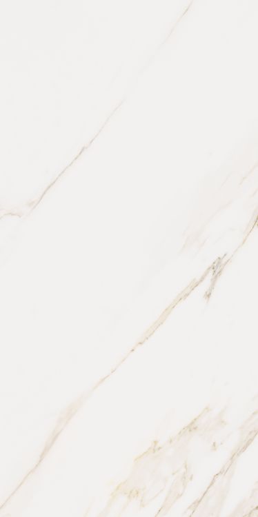 Omnia Calacatta Matte 24 x 48 nan Tile | Mosaicenter