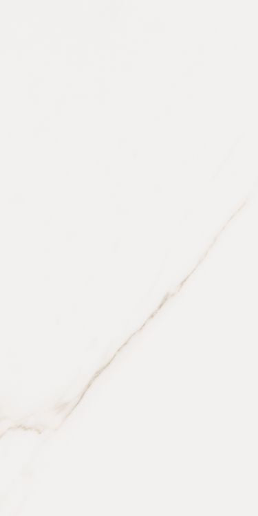 Omnia Calacatta Matte 12 x 24 nan Tile | Mosaicenter