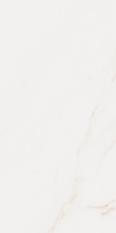 Omnia Calacatta Levigato 12 x 24 nan Tile | Mosaicenter